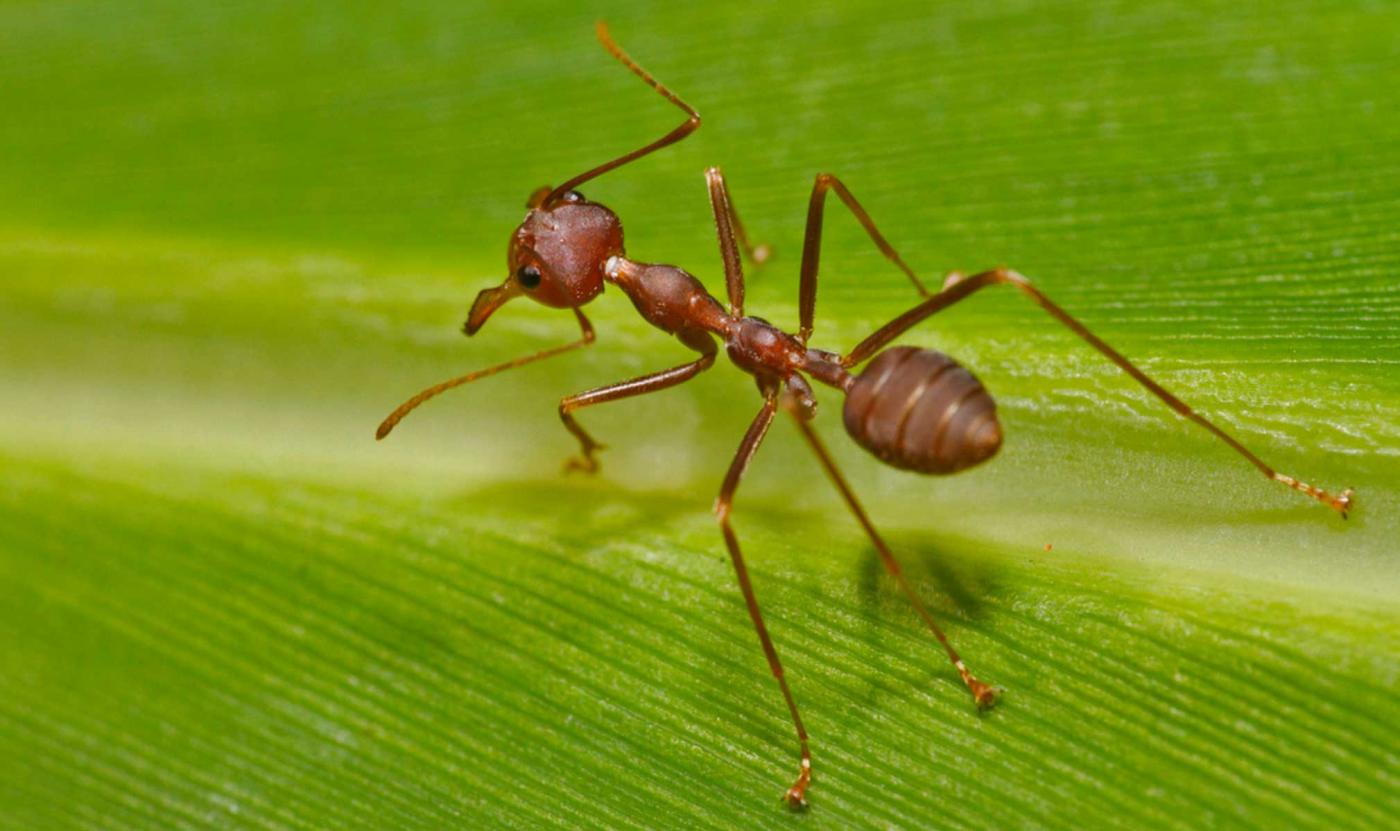 Respect for God and Nature | Saint Herman of Alaska Christian School